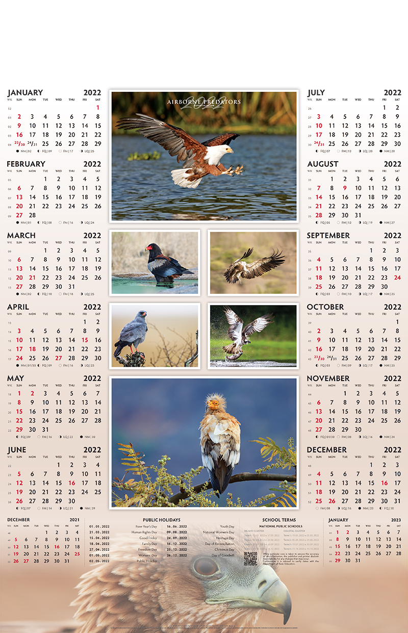 Jumbo (A1) Wall Calendar Posters