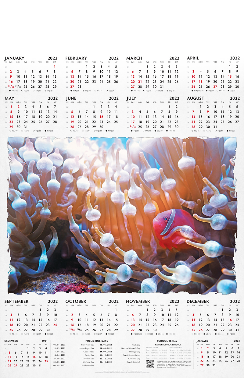 Jumbo (A1) Wall Calendar Posters