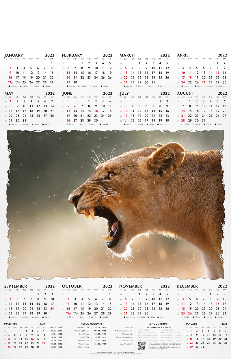 Jumbo (A1) Wall Calendar Posters